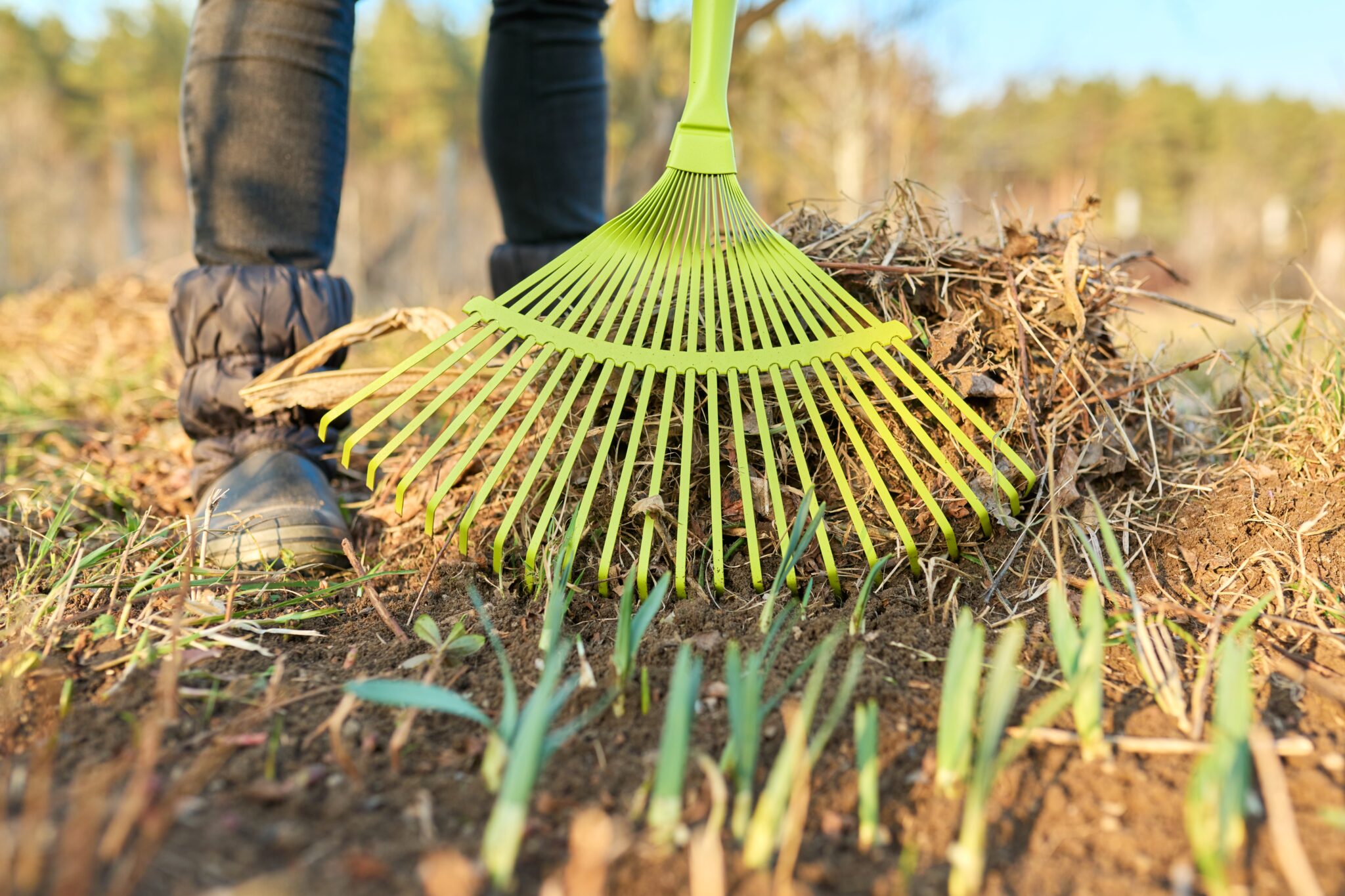 Commercial Garden Maintenance Checklist for Winter